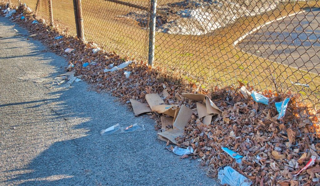 Quebec City residents clean up on Earth Day 2022 - The Quebec Chronicle ...