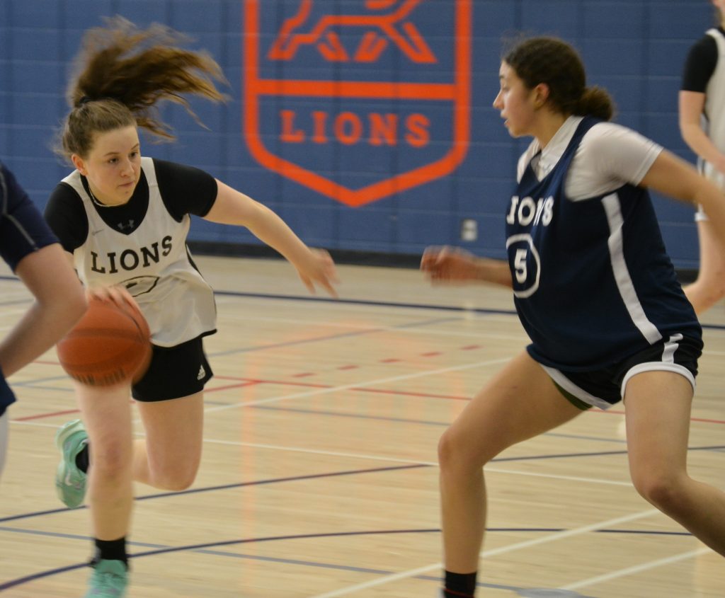 Lady Lions all set for RSEQ Division 2 basketball championship - The ...