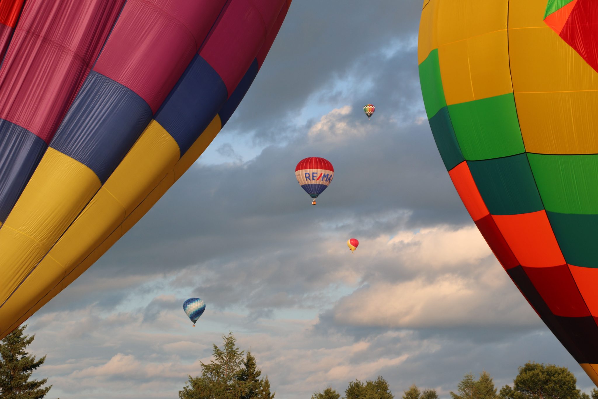 Festivent returns with high-octane lineup, family activities - The ...