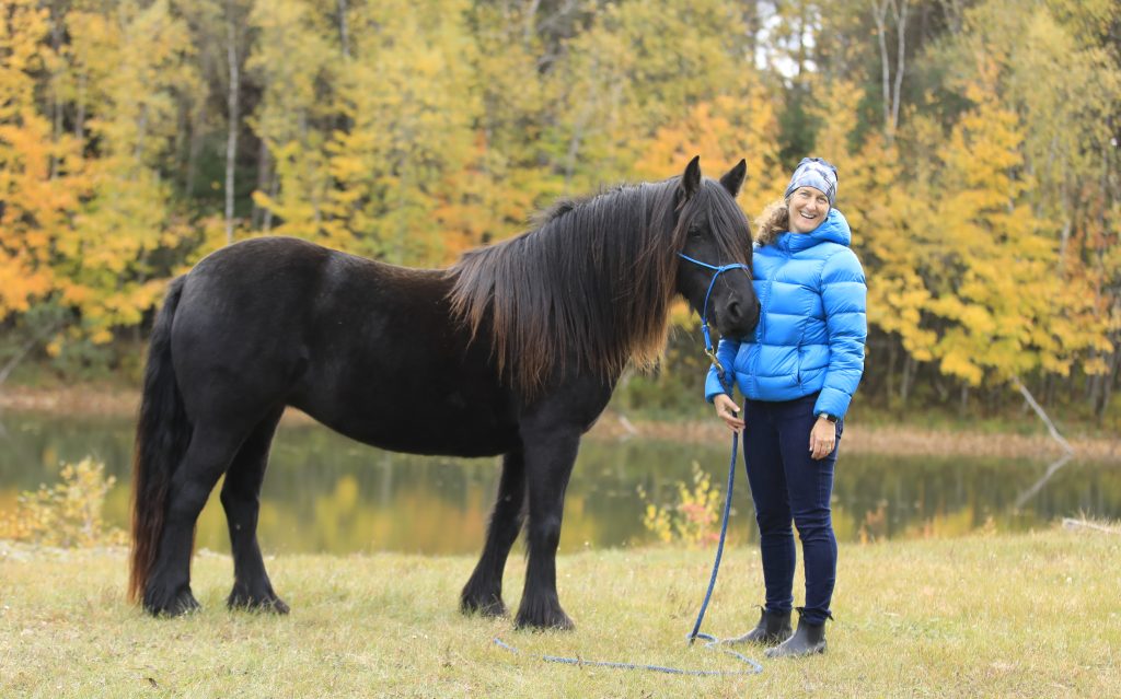 WALK ON THE WILD SIDE: The Fell pony, the Queen's favourite breed, has ...