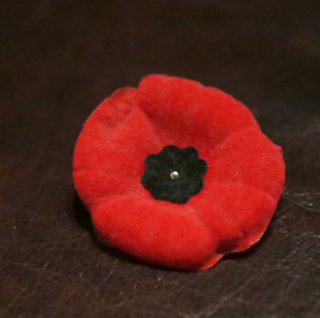 SAVING THE PLANET ONE WEEK AT A TIME: The poppy, a symbol of ...