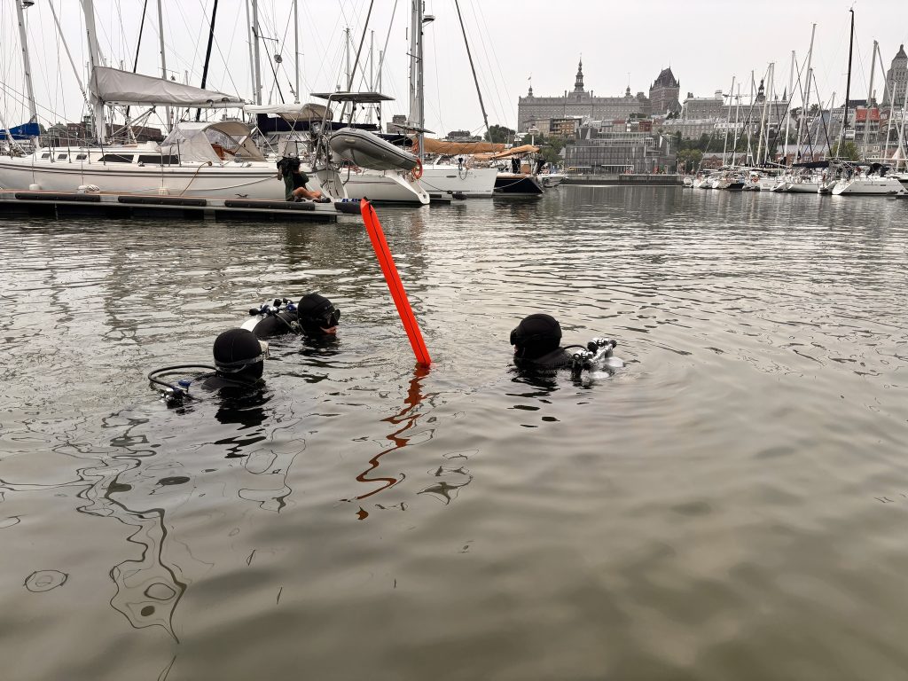 Divers pull pile of garbage from Louise Basin - The Quebec Chronicle ...