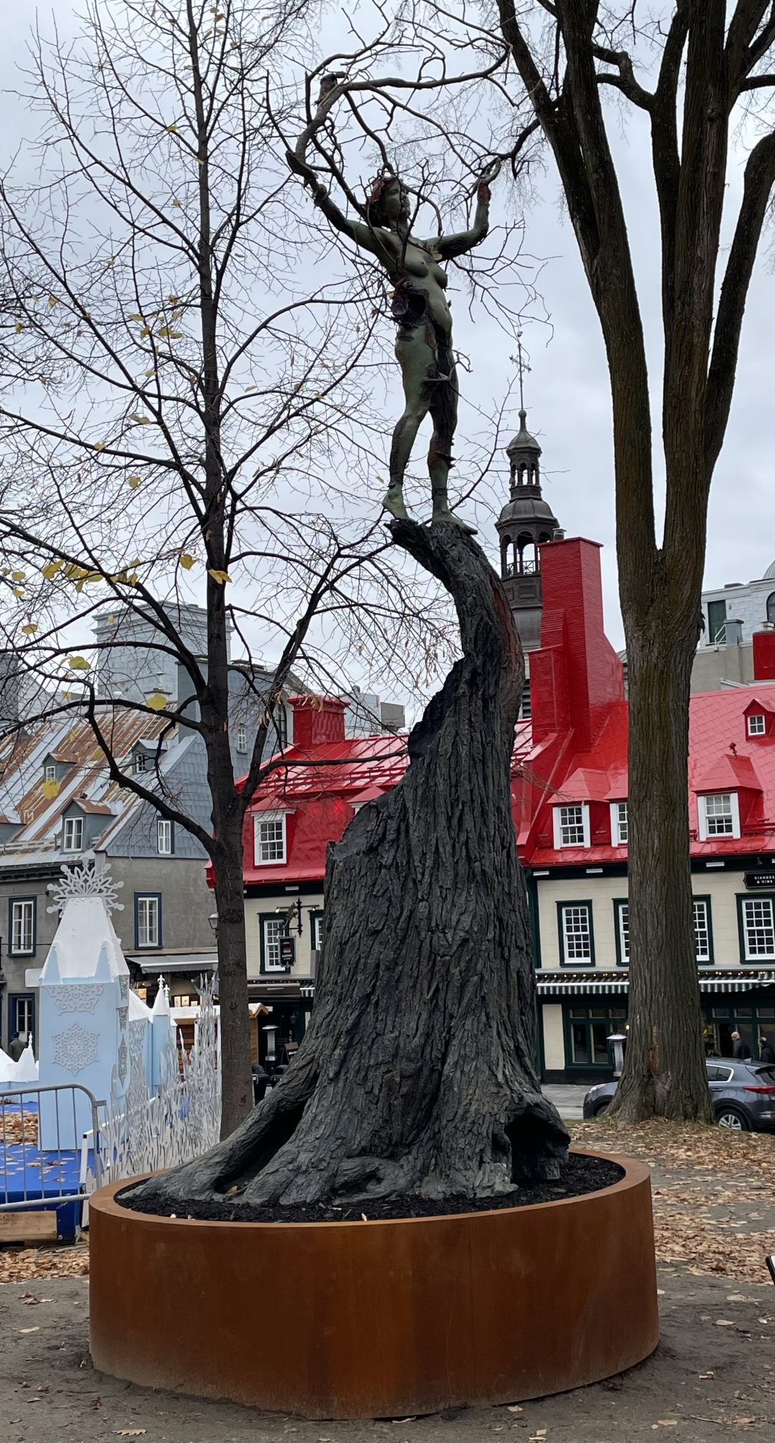 MONUMENTAL VIEWS: Paryse Martin’s tribute to the ‘cannonball’ tree ...