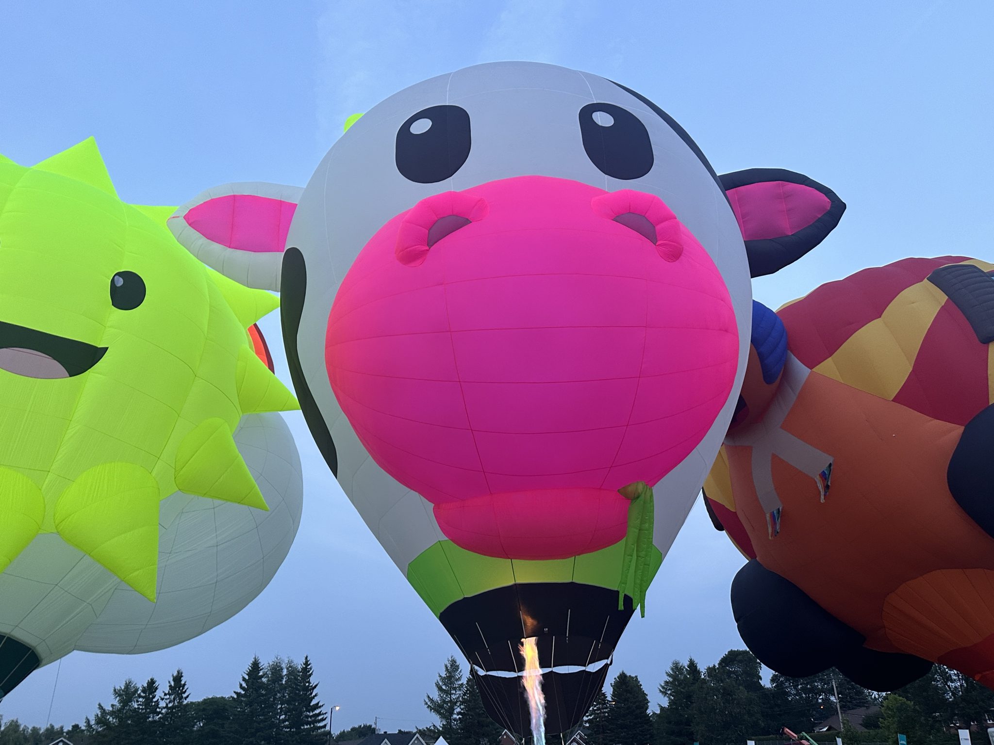 High-flying Festivent welcomes motley mix of musical genres - The ...